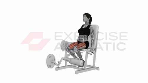 Lever Leg Extension Female | Exercise Animatic