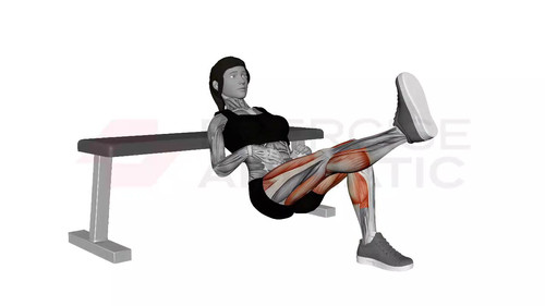 Dumbbell Single Leg Hip Thrust Female | Exercise Animatic