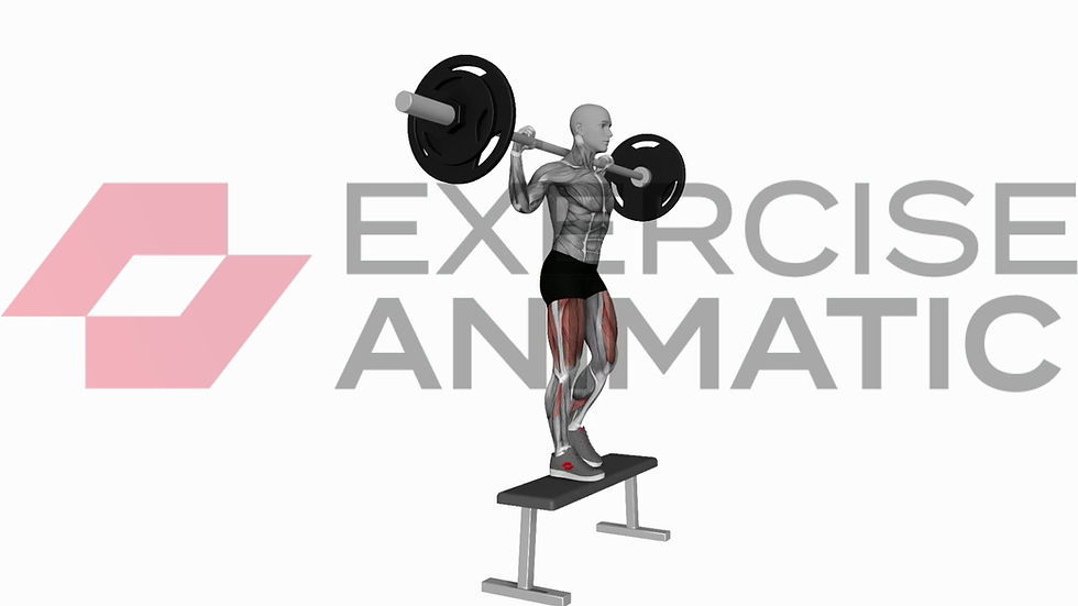 Barbell step up on bench | Exercise Animatic