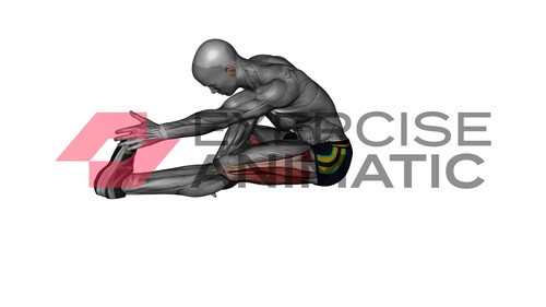 Seated single leg hamstring stretch | Exercise Animatic