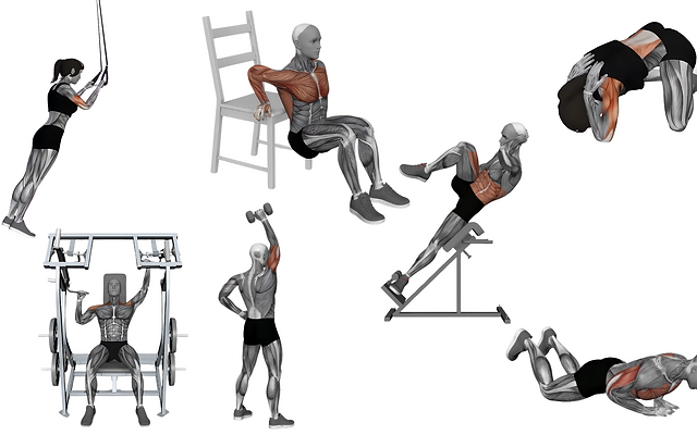 Animated Gym Workout