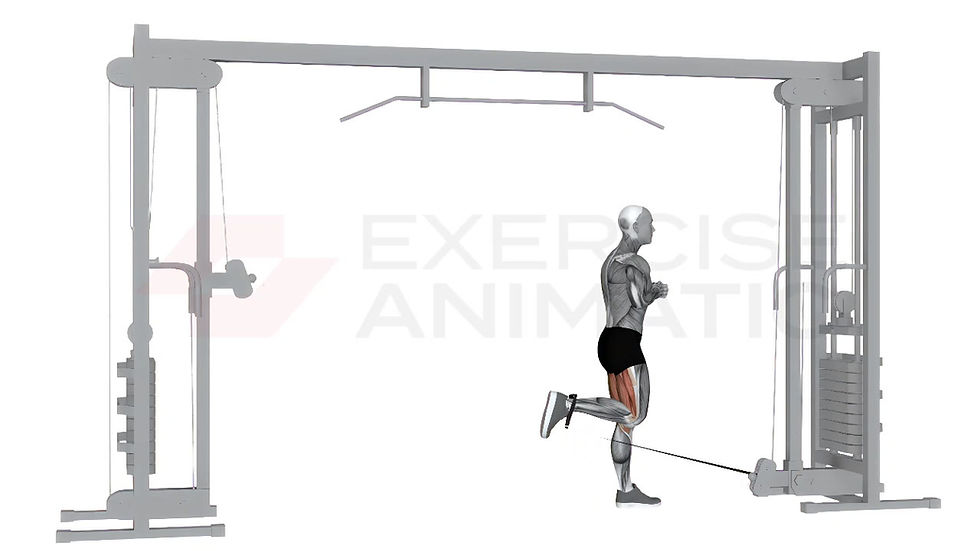 Cable Hamstring Curl | Exercise Animatic