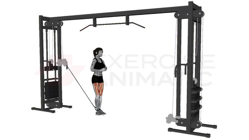 Cable Standing Leg Extension Female | Exercise Animatic