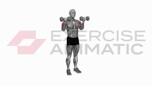 Dumbbell Drag Over Shoulder Bicep Curl | Exercise Animatic