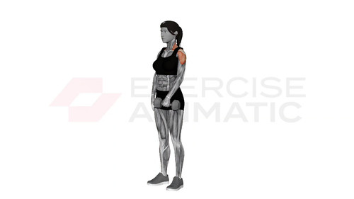 Dumbbell Single Arm Upright Row Female | Exercise Animatic
