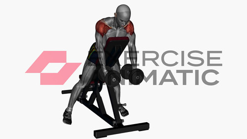 Prone lateral raises dumbbell on bench | Exercise Animatic
