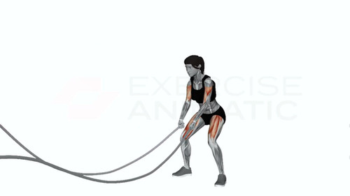Battle Rope Double Arm Slams Female | Exercise Animatic
