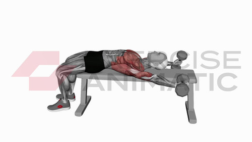 Dumbbell Around Pullover | Exercise Animatic