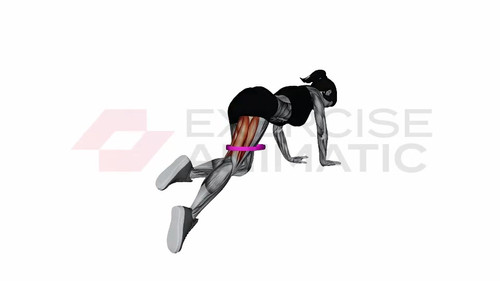 Resistance Band Kneeling Leg Half Circle Female | Exercise Animatic