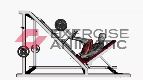 Leg press wide high stance | Exercise Animatic