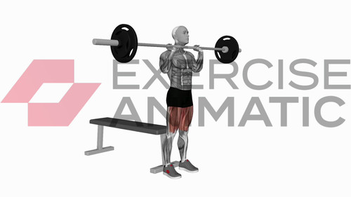 Barbell front chest bench squat | Exercise Animatic