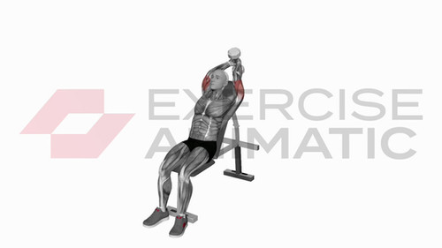 Dumbbell Incline Two Arm Extension | Exercise Animatic