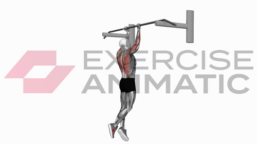 Chin-up (isometric and negative) | Exercise Animatic