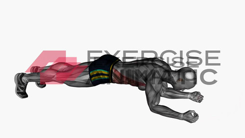 Alternating arm leg plank hold | Exercise Animatic
