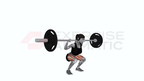 barbell normal stance full squat female | Exercise Animatic