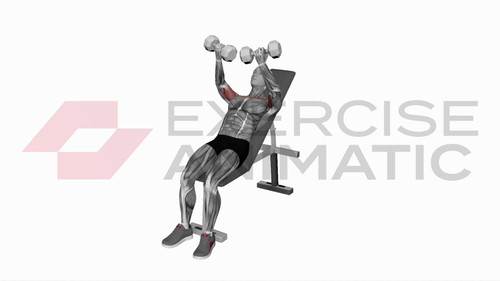 Dumbbell Incline Twisted Fly | Exercise Animatic