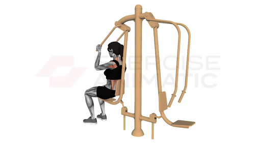 Push Pull Chair Over Head Pull Female | Exercise Animatic