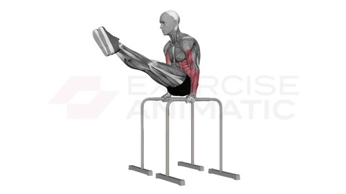 L Sit Hold | Exercise Animatic