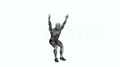 Chair Pose | Exercise Animatic