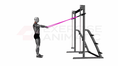Band Horizontal Shrug | Exercise Animatic