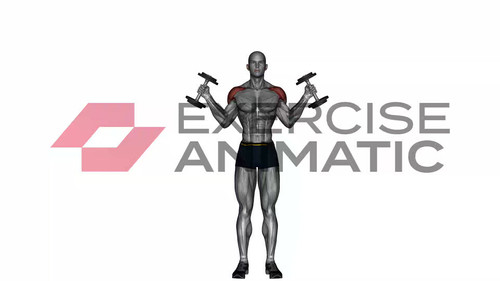 Dumbbell w press | Exercise Animatic