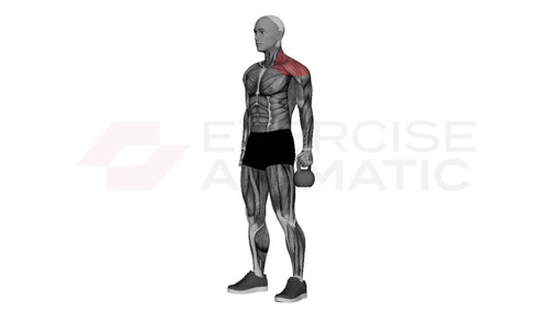 Kettlebell Long Lever Lateral Raise | Exercise Animatic