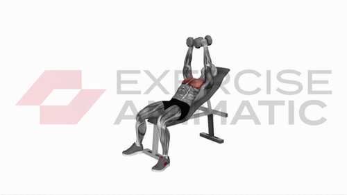 Dumbbell Incline Fly | Exercise Animatic