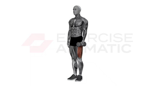 Dumbbell Standing Hip Abduction | Exercise Animatic