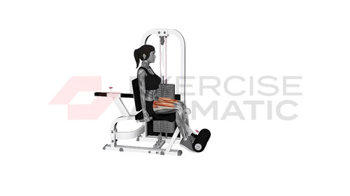 Seated leg extension alternate legs Female | Exercise Animatic