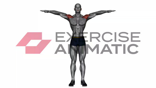 Palm up palm down rotation | Exercise Animatic