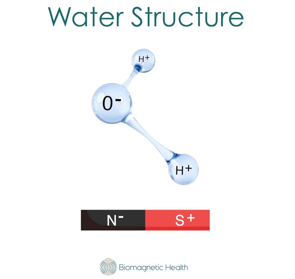 Structured Water Made Simple - Everything You Need to Know about ...