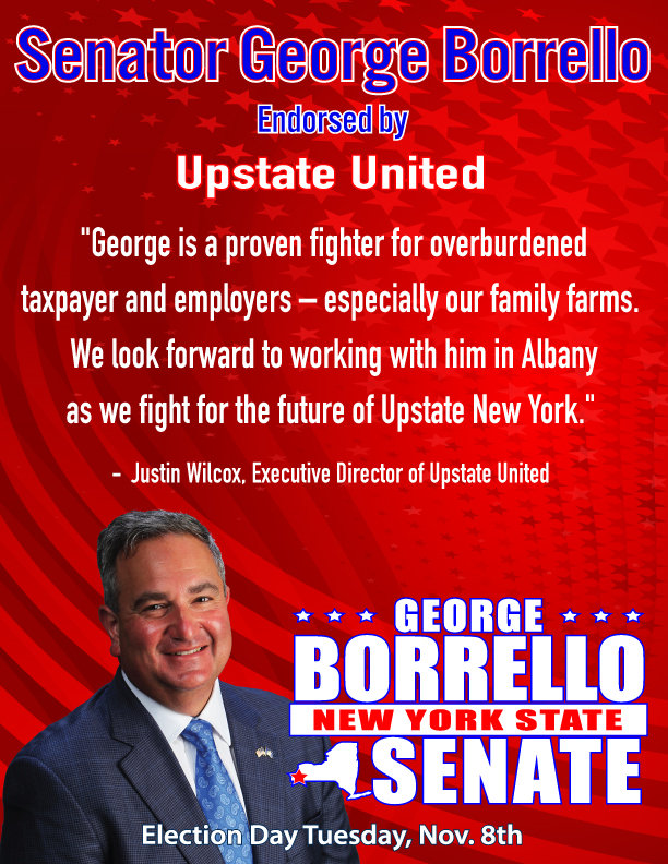 SENATOR BORRELLO RECEIVES ENDORSEMENT OF UPSTATE UNITED