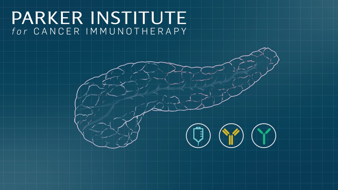 Medical Illustration | nova