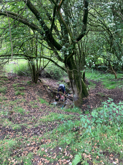 Woodland Gallery | Intake Farm