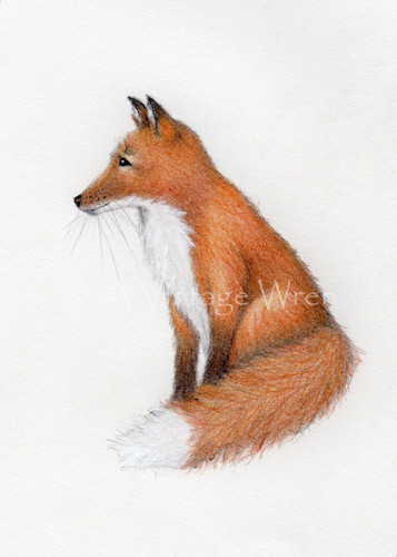 Red Fox art with double mat / Fox print / Red Fox illustration ...