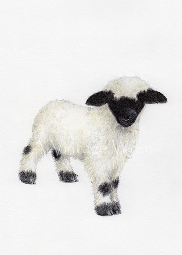 Valais Blacknose Sheep Art Print with Double Mat/ Original art / Lamb ...