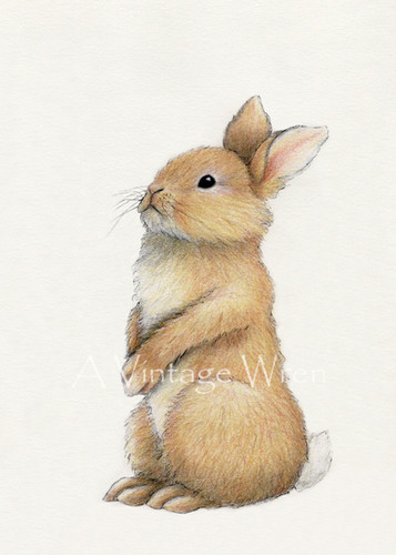 Bunny Rabbit Art Print With Double Mat / Rabbit illustration | avintagewren