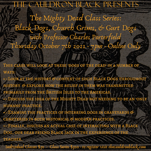 The Mighty Dead Class Series - Black Dogs, Church Grims, & Gurt Dogs ...