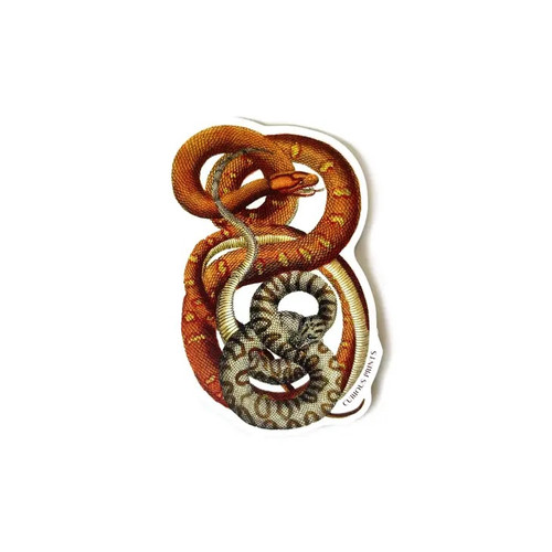 Vintage Snakes Waterproof Sticker | The Cauldron Black