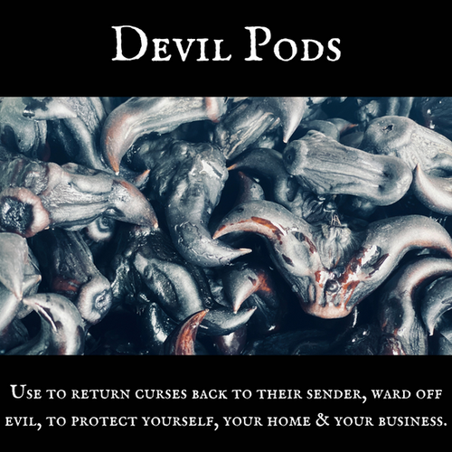 Devil Pods | The Cauldron Black