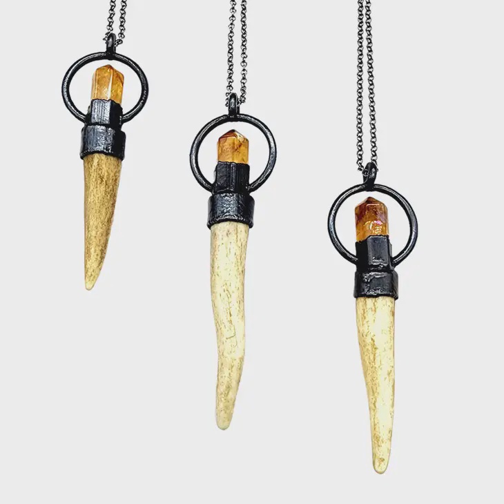 Ethically Sourced Human & Animal Bones | The Cauldron Black