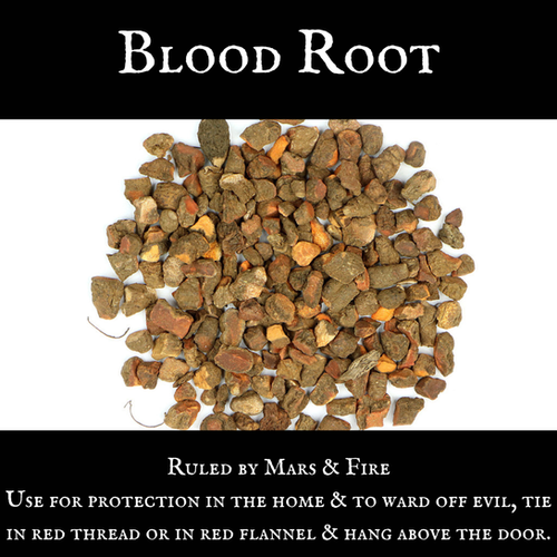 Blood Root | The Cauldron Black