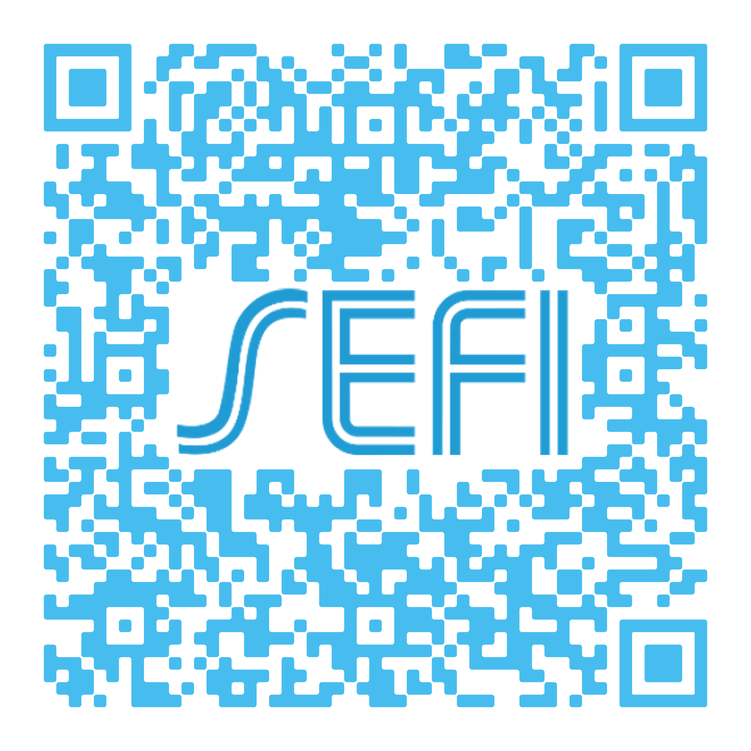 SEFI Skills Handbook October 2024 update