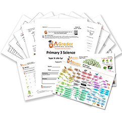 Primary Science Tuition Singapore | AGrader Learning Centre