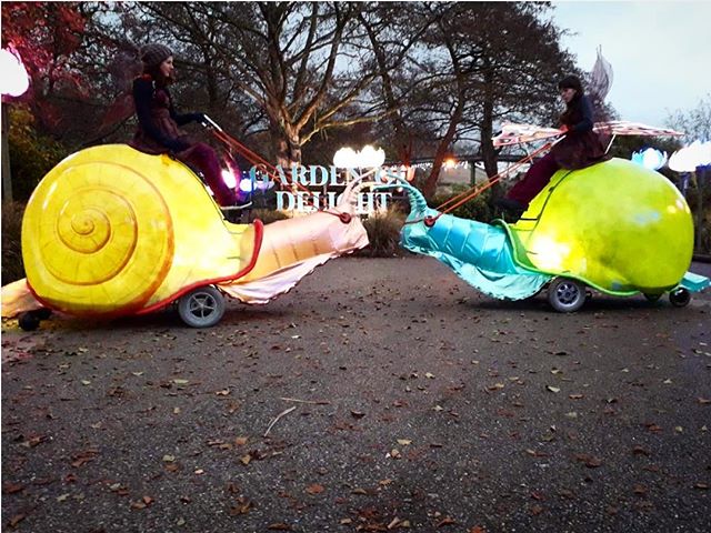 Home | Joanna Earles