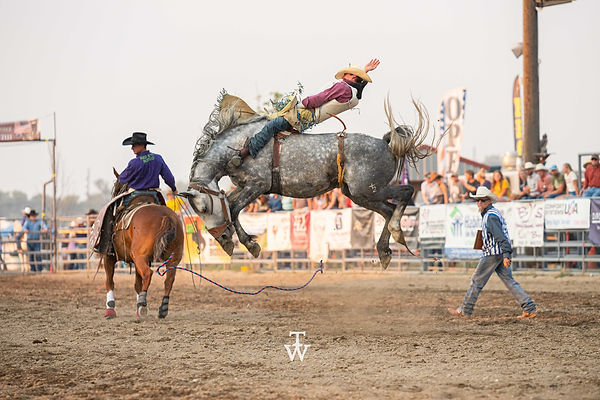 DRA Bareback Event | darbyrodeo