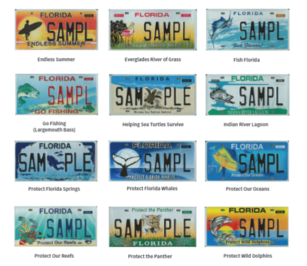 Florida Personalized License Plates at Fast Tag Services
