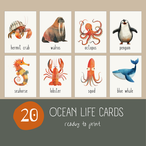 Printable Ocean Life Flash Cards, Montessori inspired 3 part cards ...