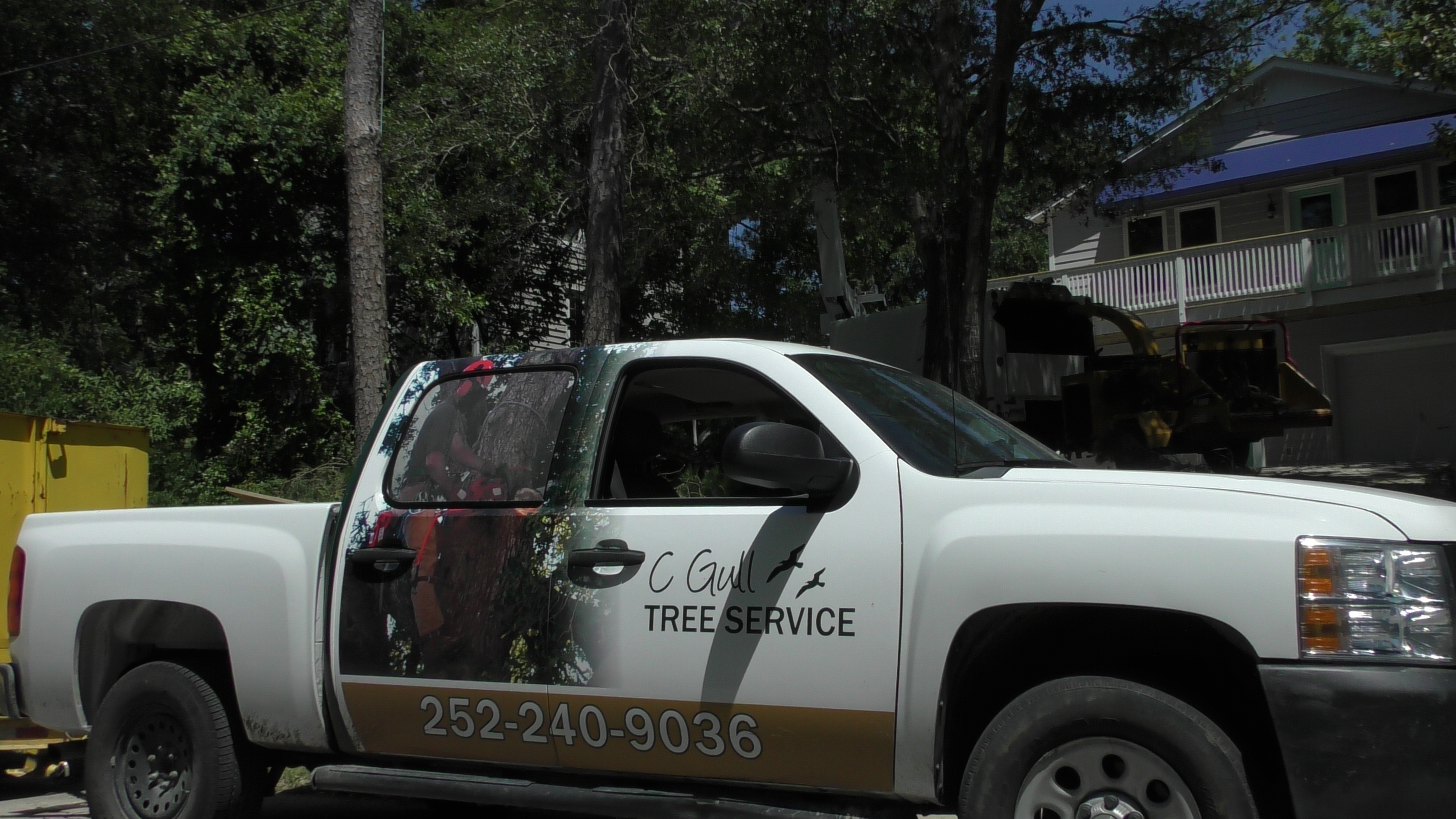 C Gull Tree Service | Tree Removal in Emerald Isle and Morehead City