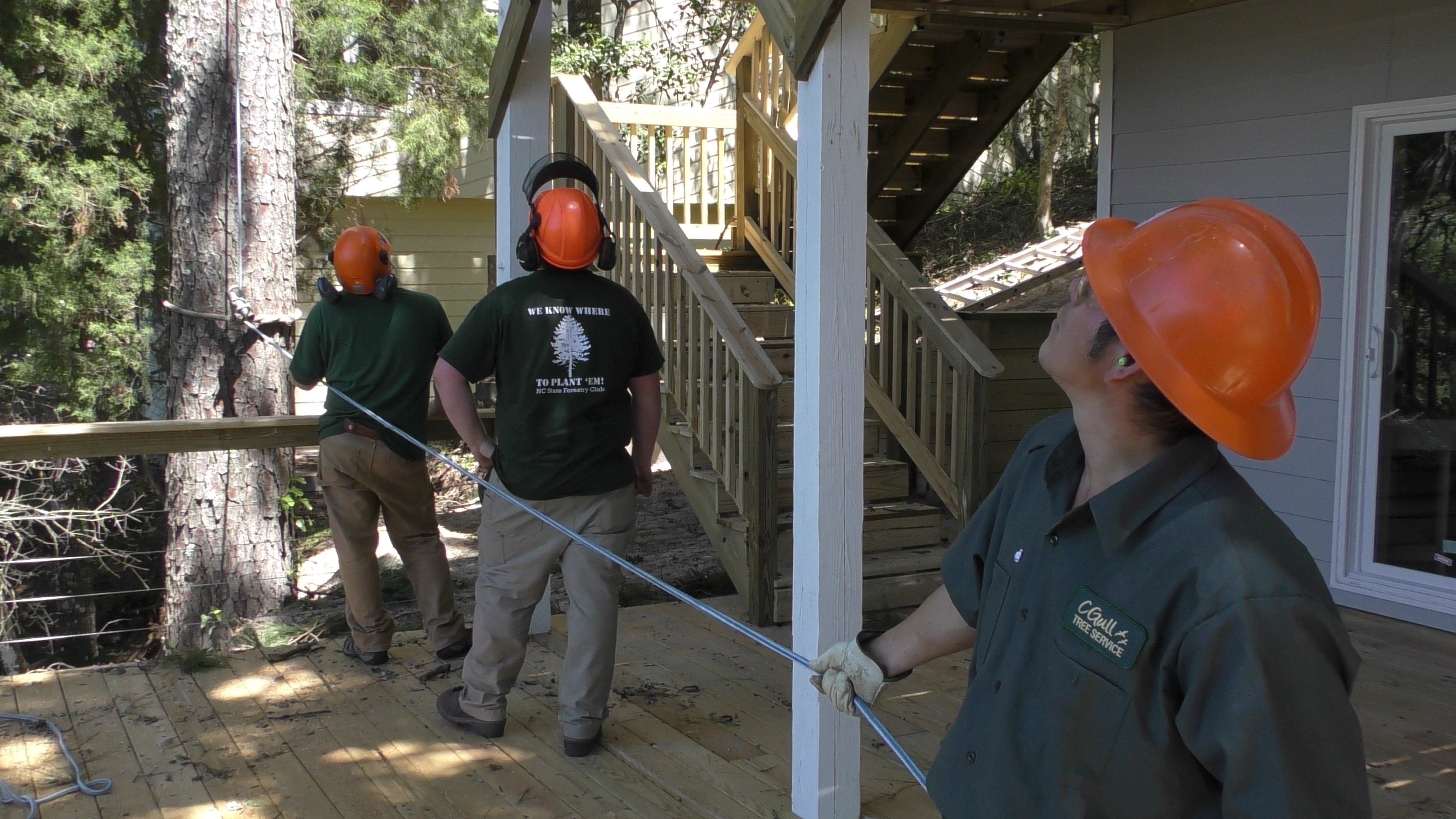 C Gull Tree Service | Tree Removal in Emerald Isle and Morehead City